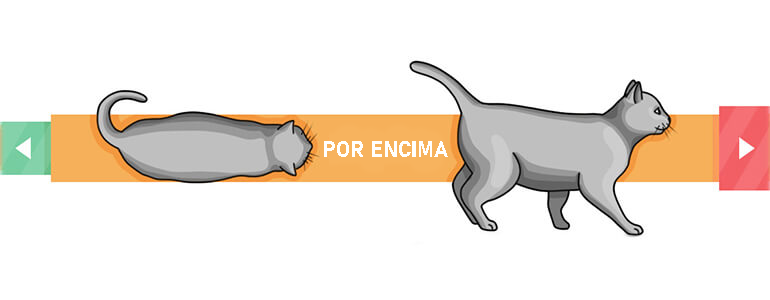Herramienta Sistema de Condición Corporal para gatos | Purina®